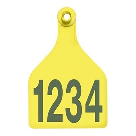 Shearwell Bos Tag - XL Female Only • NLIS Cattle Tags
